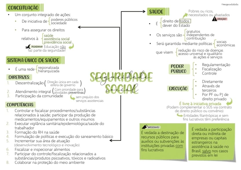 Mapas da Lulu | Melhores mapas mentais para o INSS