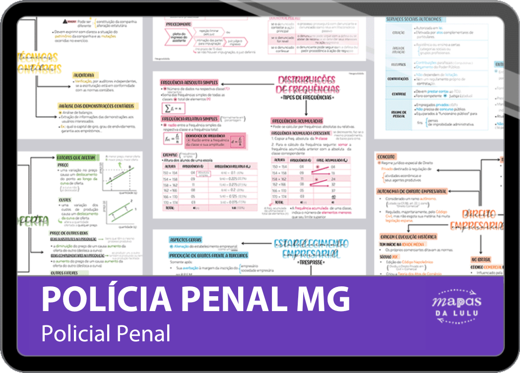 Mapas da Lulu | Melhores mapas mentais para o concurso PPMG